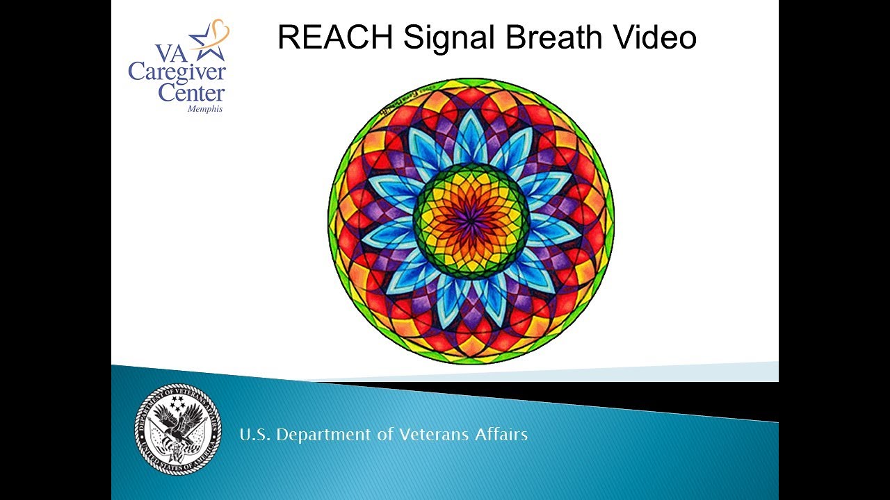 REACH Signal Breath video - YouTube
