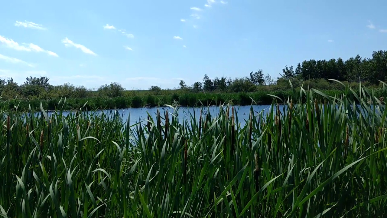 July Slough music - YouTube