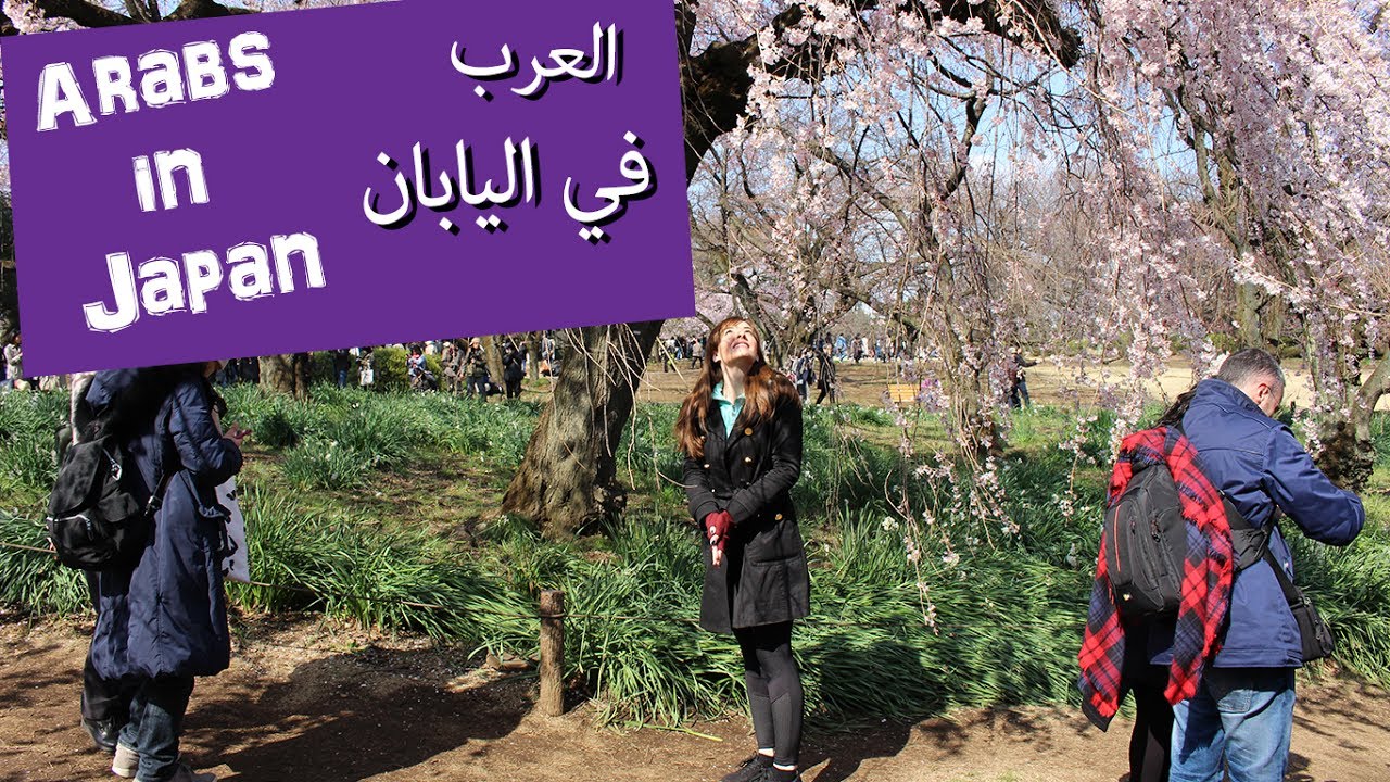 Arabs in Japan العرب في اليابان - YouTube