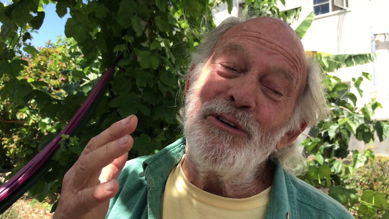 2017 Emily T Gail Talk Story w my brother Max Gail when I was on ...
