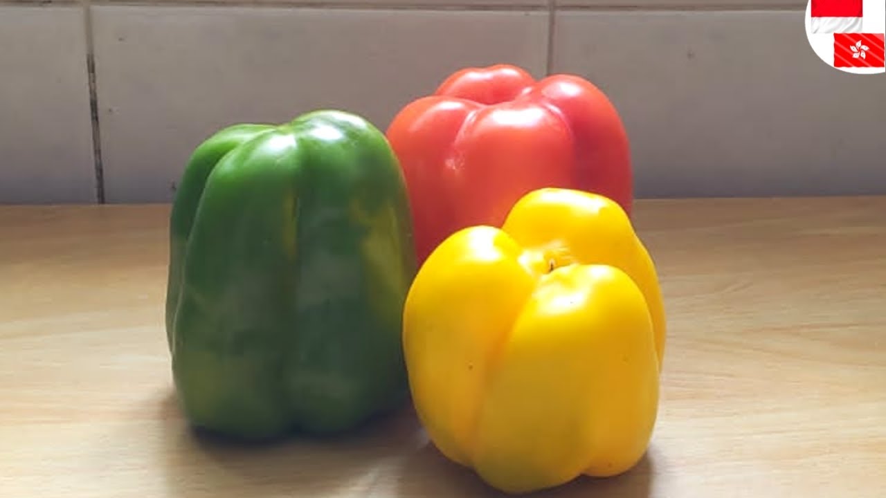 RESEP TUMIS PAPRIKA YANG ENAK DAN MUDAH| CHINESE FOOD RECIPE - YouTube