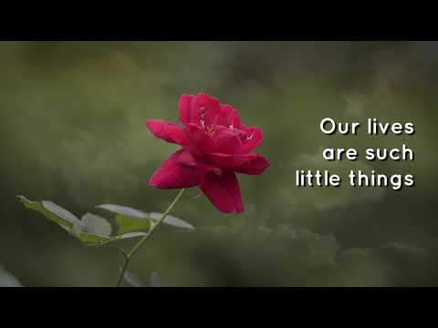 Mon Amie la Rose - Natacha Atlas (with English lyrics)