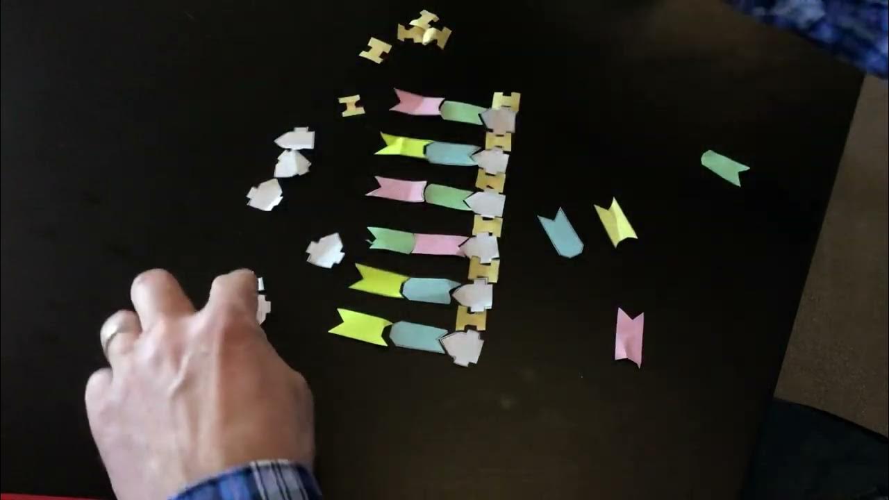 DNA Paper Cut Out Activity - YouTube