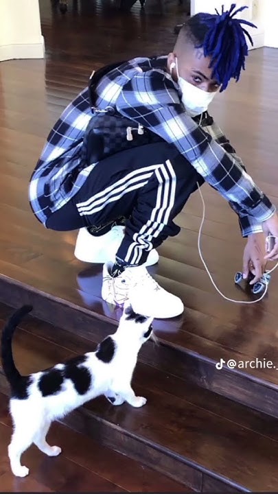 Xxxtentacion And His Cat🖤🕊️ Jahsehonfroy Ripx Xxxtentacion Llj Gekyumeonfroy Rap
