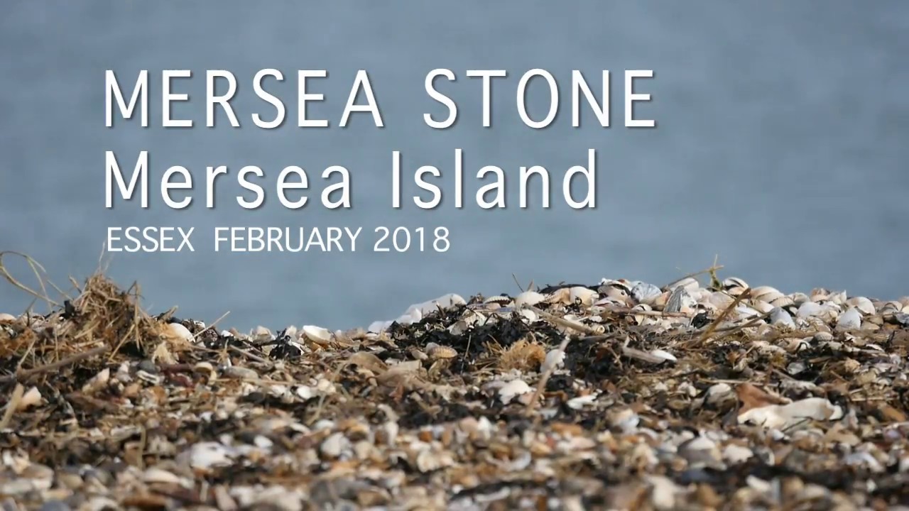 MERSEA STONE -The Eastern Tip of Mersea Island Essex - YouTube