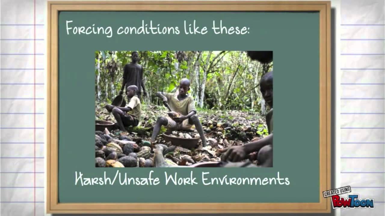 A Shot of Milk, Sugar, and Reality - Coffee Farmer Exploitation - YouTube