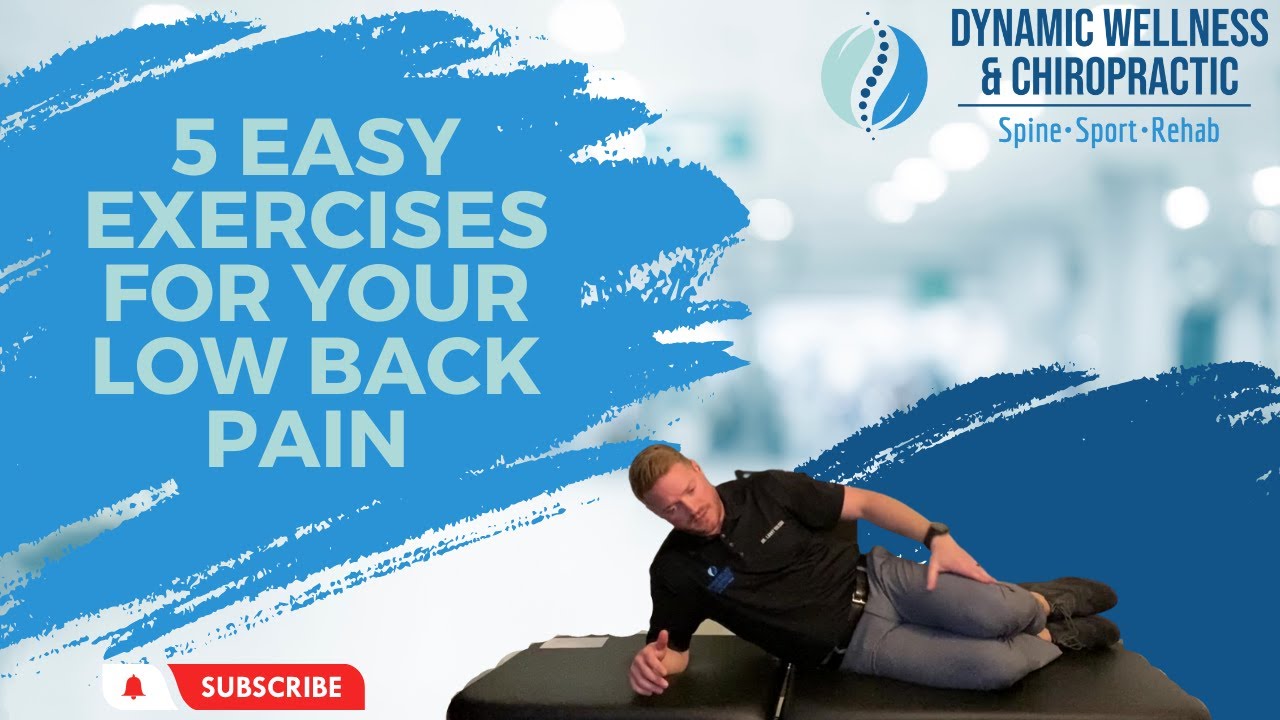 5 Easy Exercises For Your Low Back Pain - Dynamic Wellness - YouTube