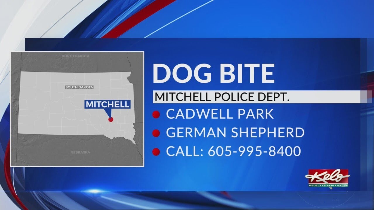 Mitchell police search for dog biting people - YouTube