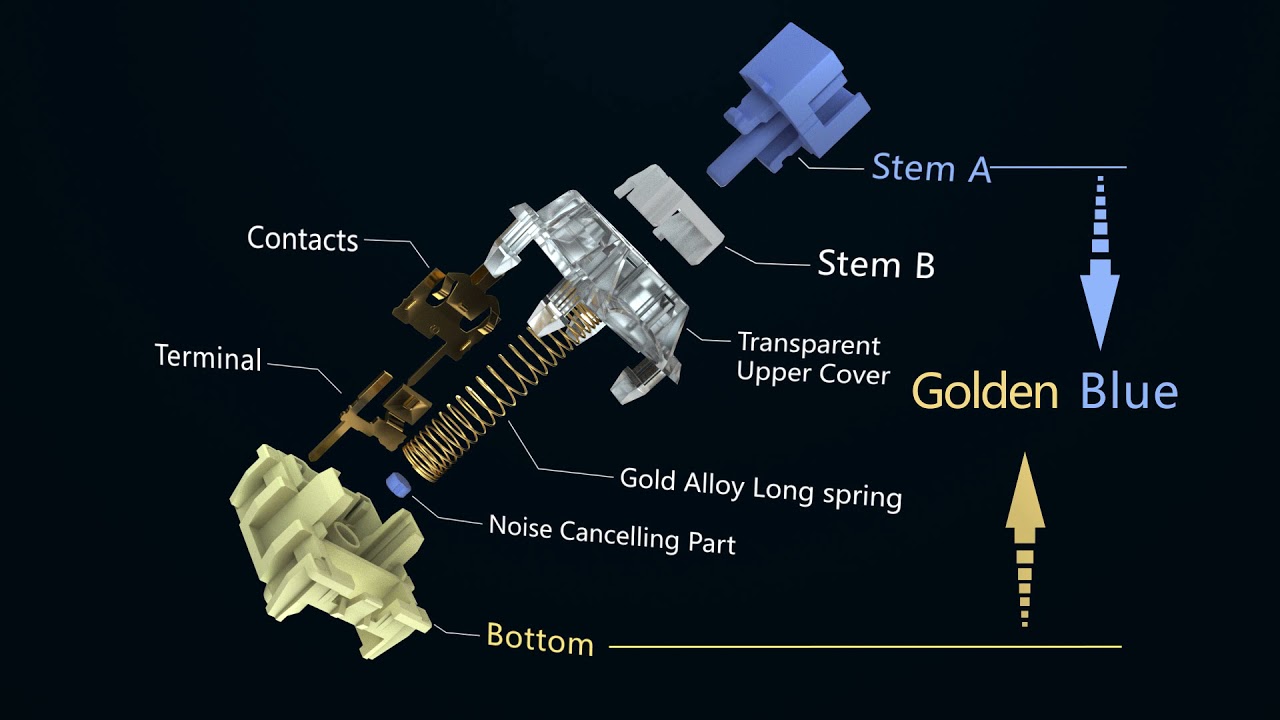 TTC Golden blue mechanical switches - YouTube