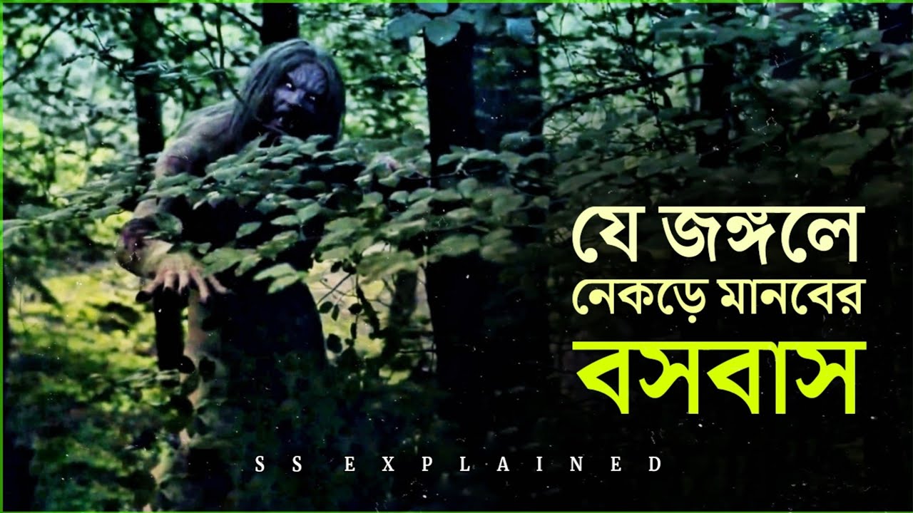 গভীর জঙ্গলে এক ভূতুড়ে ট্রেন যাত্রার কাহিনি | Bangla movie explained | SS Explained - YouTube