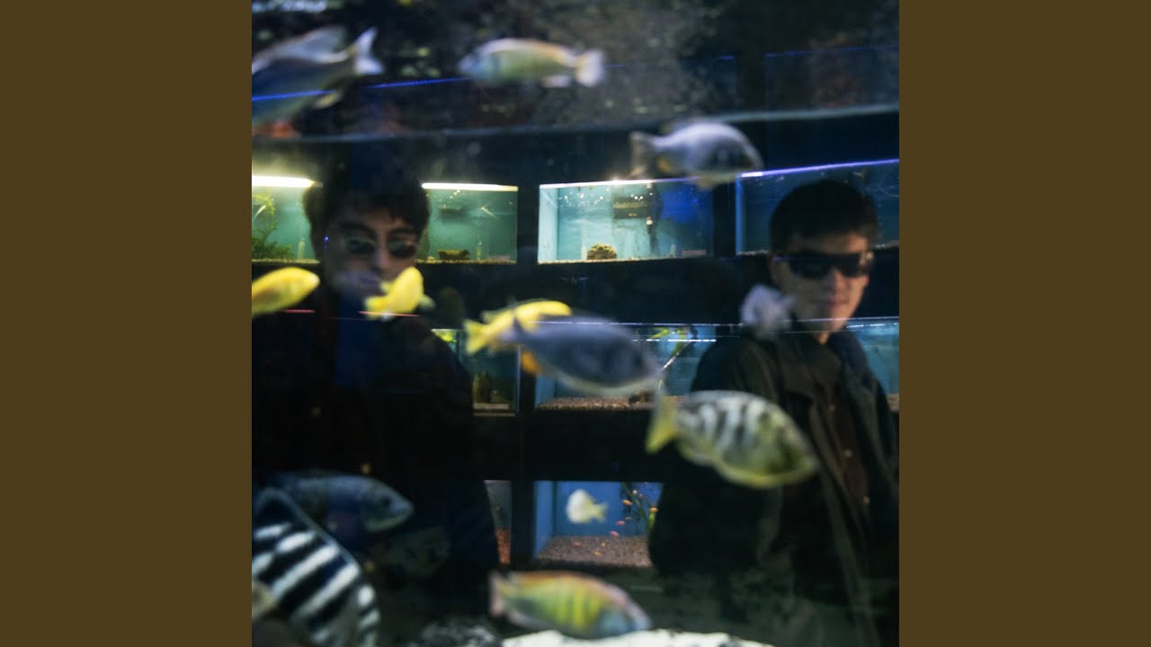 disco (Live) - YouTube