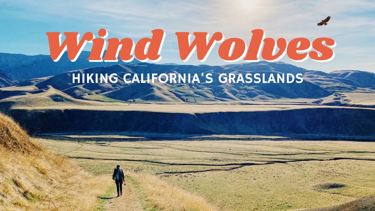 Best hiking in Southern California | Wind Wolves Preserve - YouTube