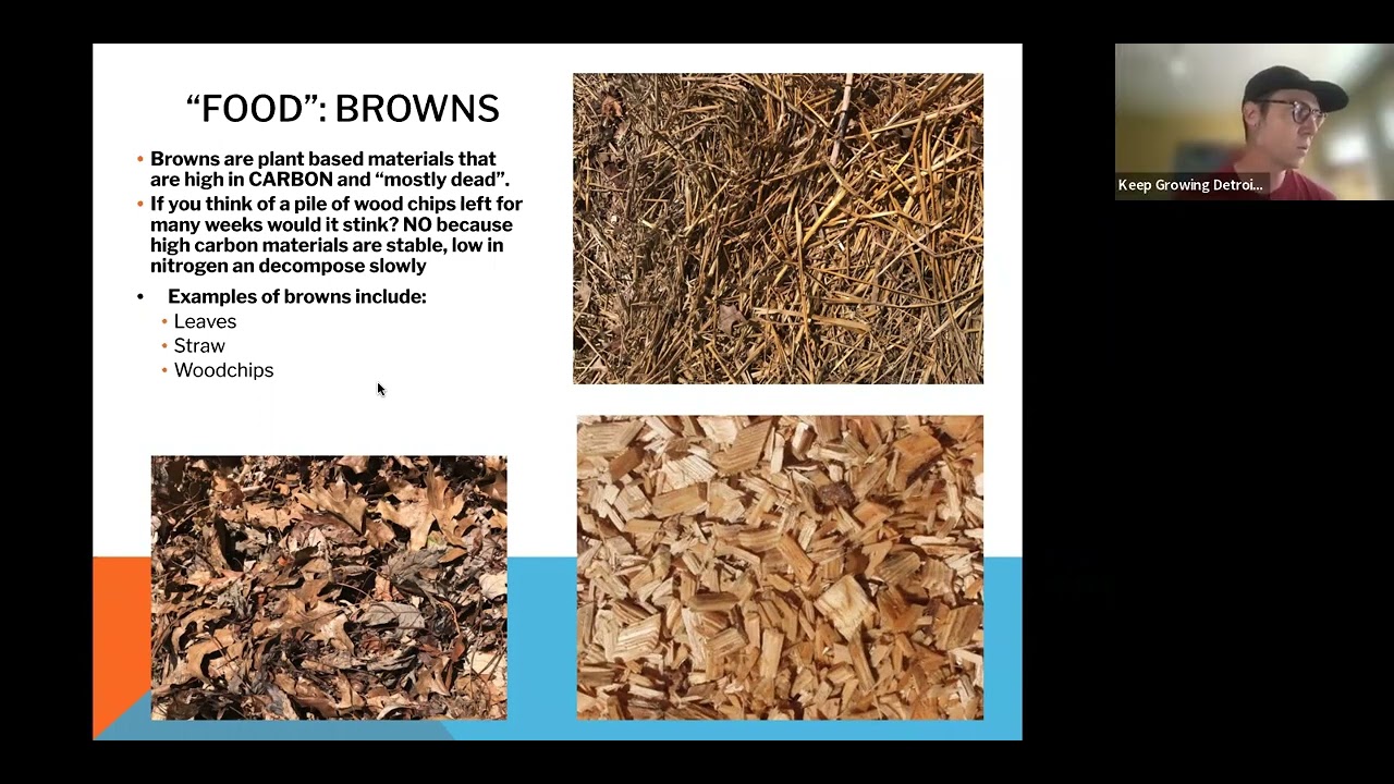 LET IT ROT: Composting Basics 2022 - YouTube