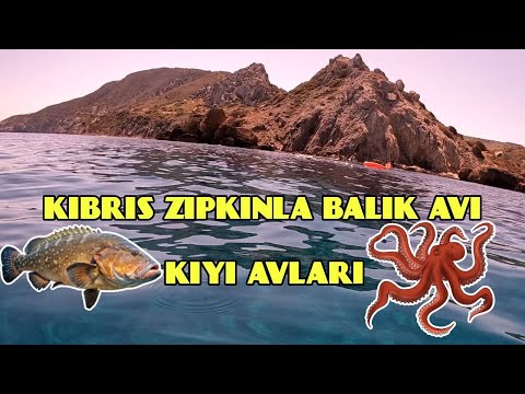 Cyprus Spearfishing KKTC Zıpkınla Balık Avı Kıyı Avları