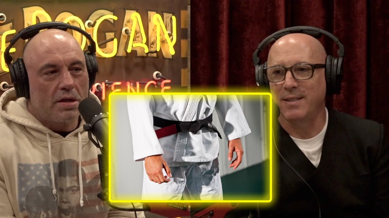 Best Martial Arts Joe Rogan at Nathan Dillon blog