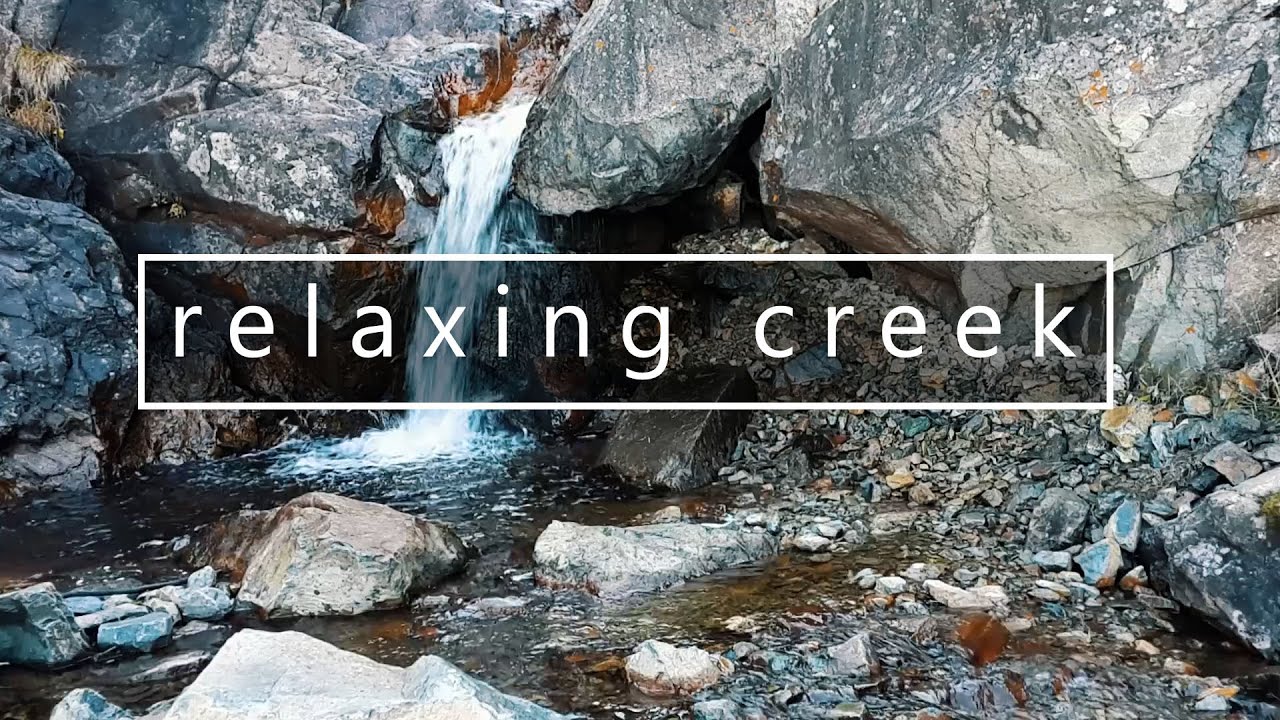Relaxing Creek | Fall asleep to the soothing sounds of water and birds ...
