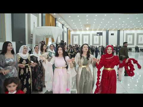 Mehmet Araz Düğünü Part 6 ( Grup Welat Silopi 2 ) 2026