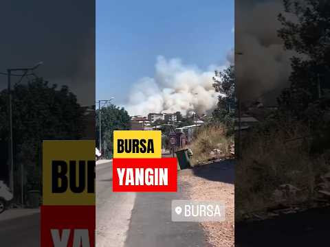 🎯Son Dakika Bursa'da Orman yangını çıktı Yangın rüzgarı etkisiyle büyüyor