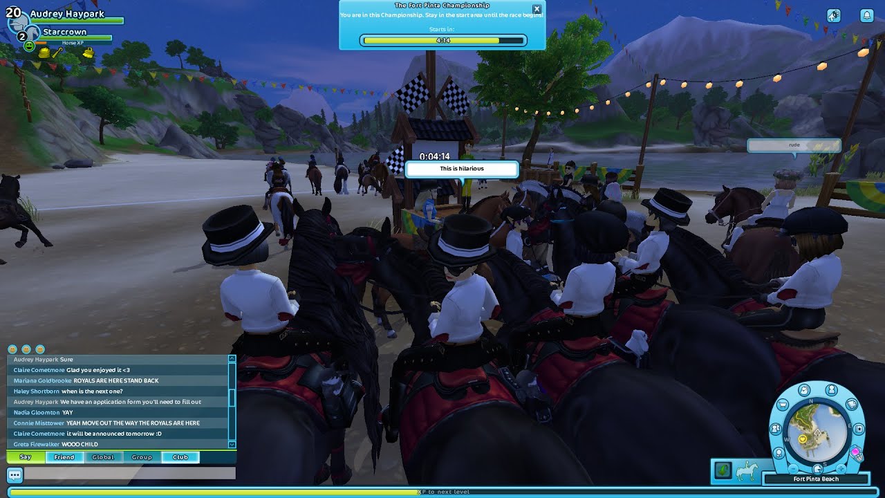 How to own an SSO club successfully | Star Stable | Audrey Haypark ...