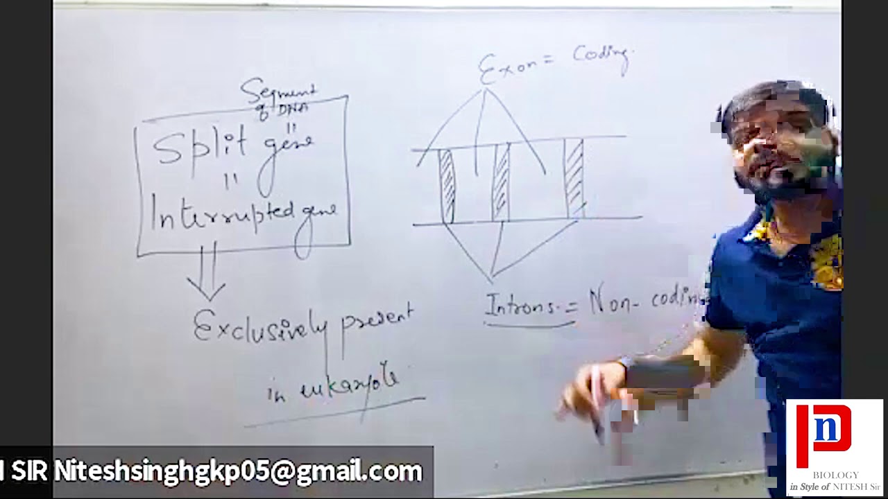 split gene arrangement and type of rna - YouTube