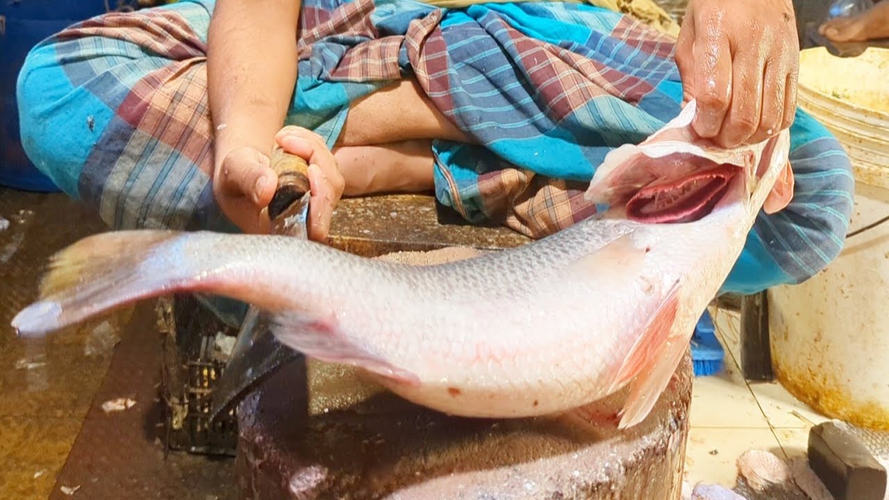 Amazing Fishing Cut - Big Bhetki (koral) Fish Cutting In Bangladesh ...