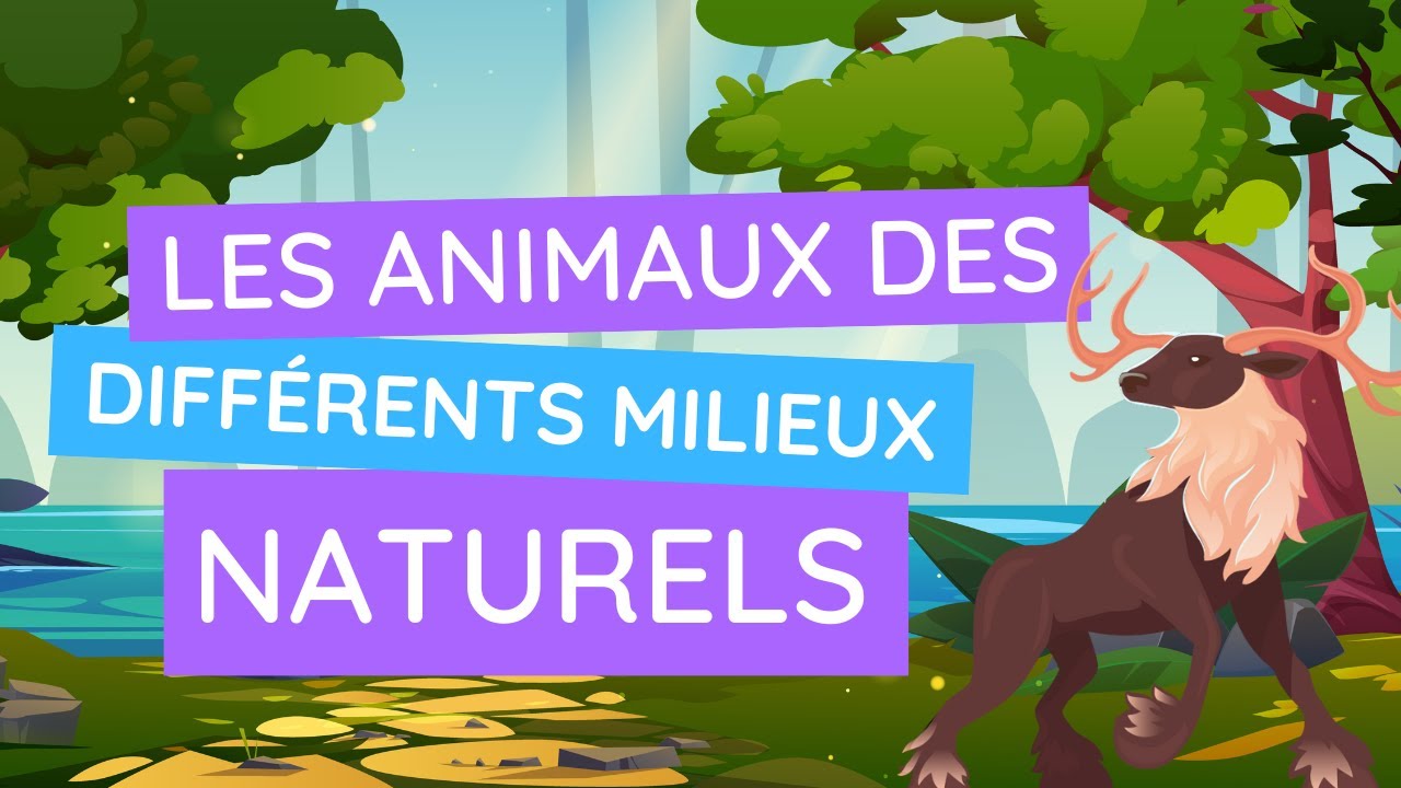 Voyage dans les différents milieux naturels : découvre les animaux qui ...
