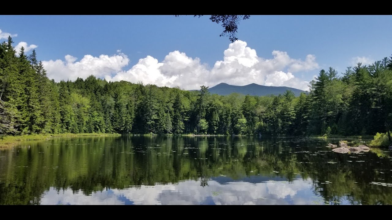 Owl's Head Overnight, Black Pond Bushwhack 07-27/28-2018 - A Bear ...