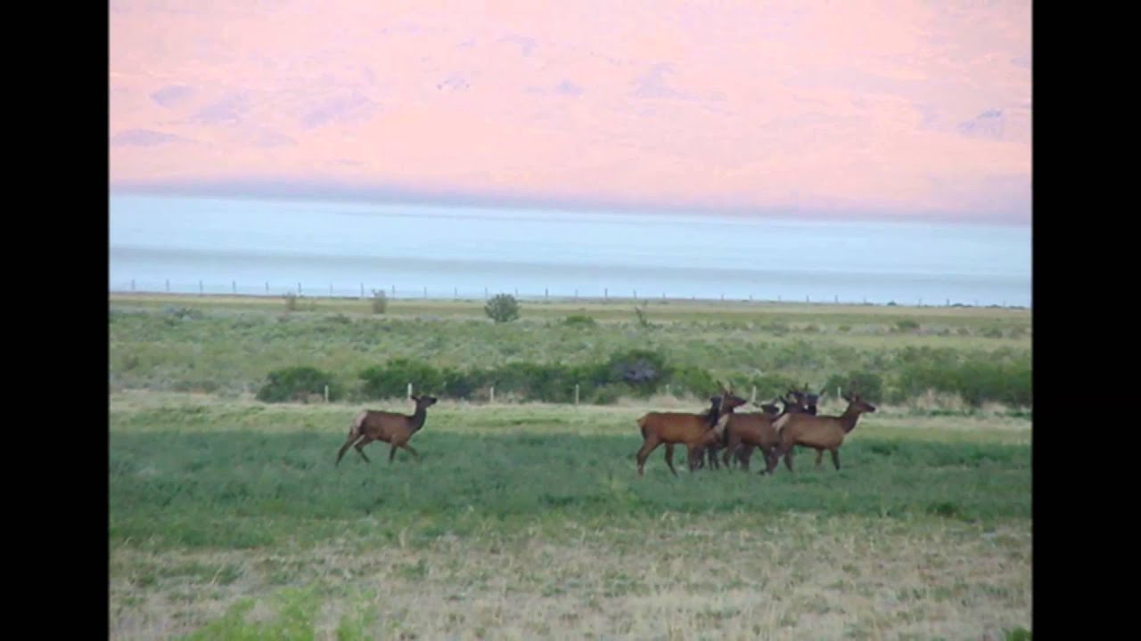 The Pilot Mountain Range Nevada and Utah June 22, 2012 - YouTube