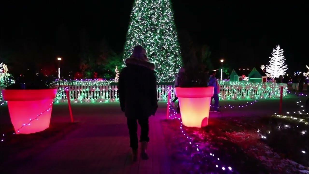 Aaron Haskell - Jolly Night (visualizer) - YouTube