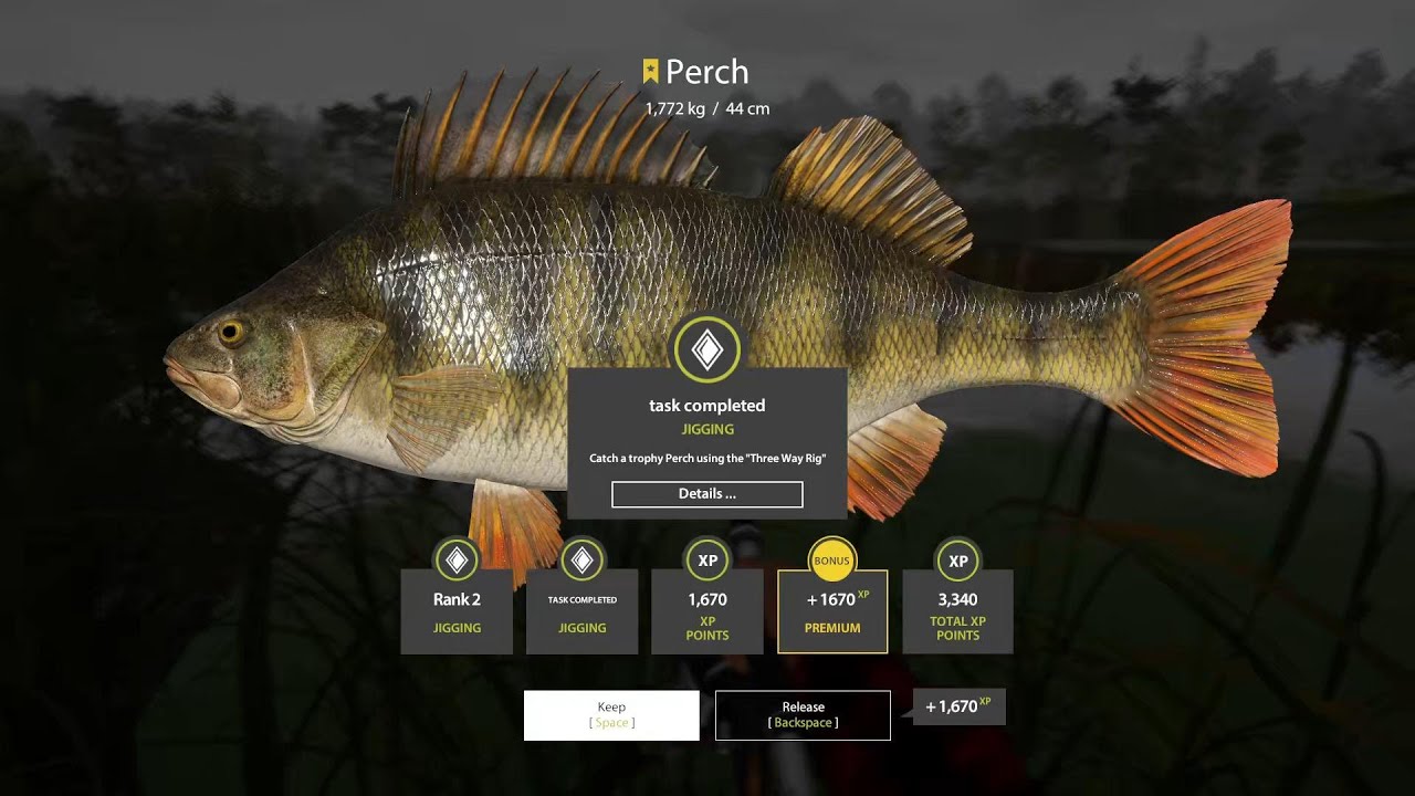 RF4 Catch a trophy Perch using the "Three Way Rig" /Old Burg Lake - YouTube