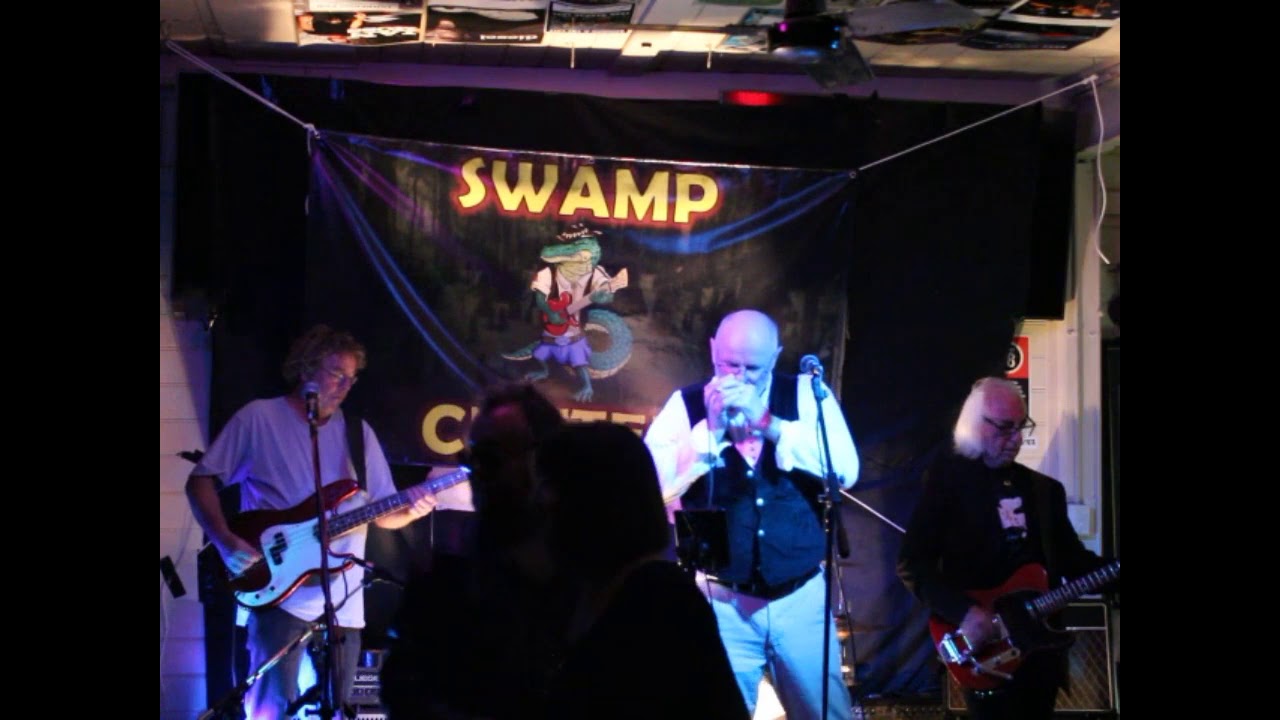 Drive in Life Swamp Critters 06 19 13 - YouTube