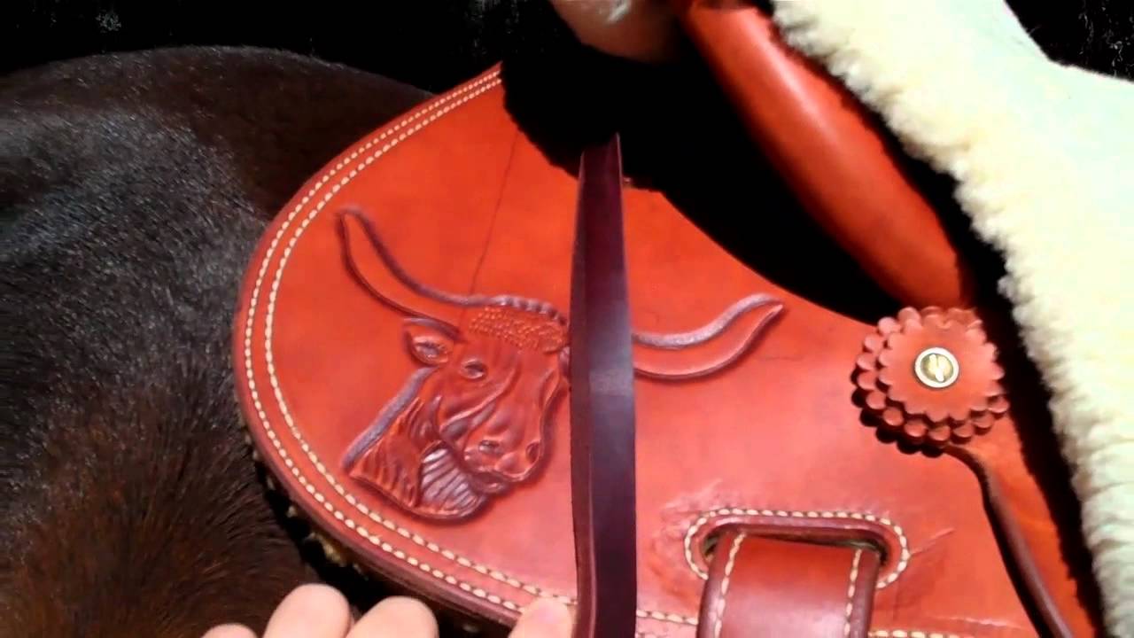 Fallis saddle fit? - YouTube