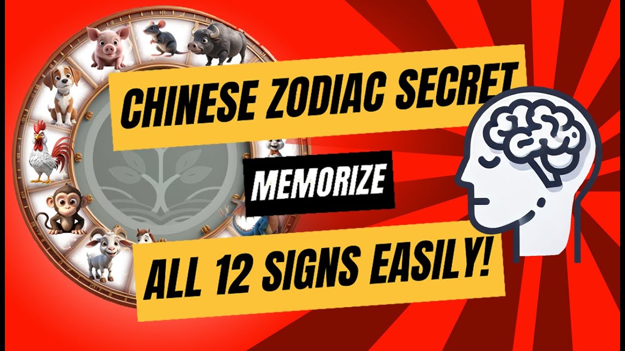 The 12 Chinese Zodiac Signs and the Great Animal Race (Chinese New Year ...