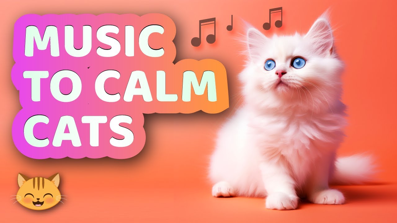 Music to Calm Cats - 1 Hour of Relaxing Background Music - YouTube