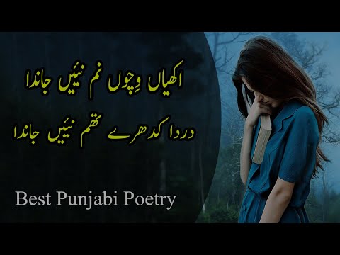 Best Punjabi Poetry Status Akhiyan Vichon Namm nai Janda Voice Adnan Ali