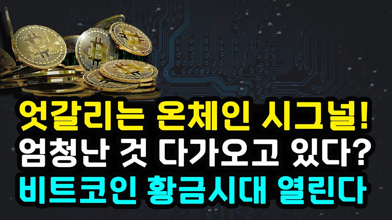 비트코인 리플 미 증시 상승에도 힘 못받은 이유 일론 머스크 재무부 거래 블록체인으로 투명화 마이크로스트래티지 리브랜딩