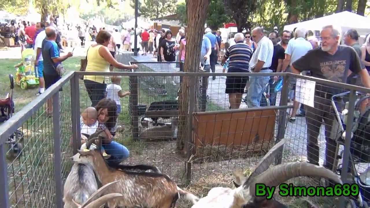 Fiera Beato Angelo Carletti 2012 Chivasso(TO). - YouTube