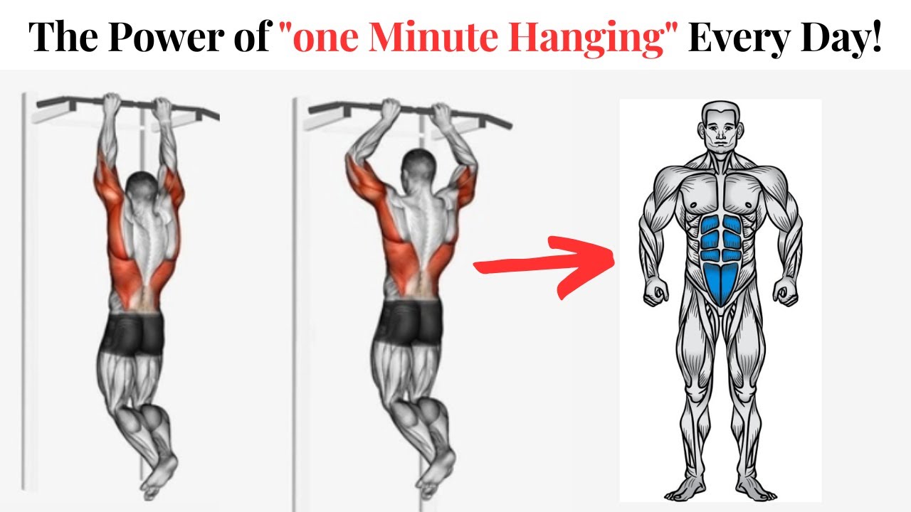 What Happens When You Hang for Just 1 Minute Every Day Unlocking the ...