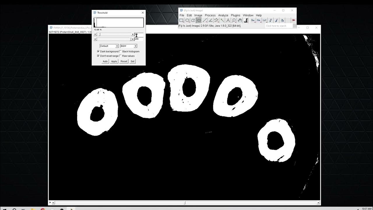 How to Export an STL File From Image Stack with Fiji (ImageJ) - YouTube