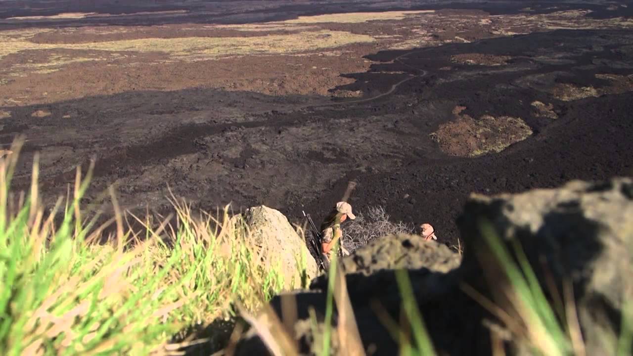 Hunting the Big Island of Hawaii - YouTube