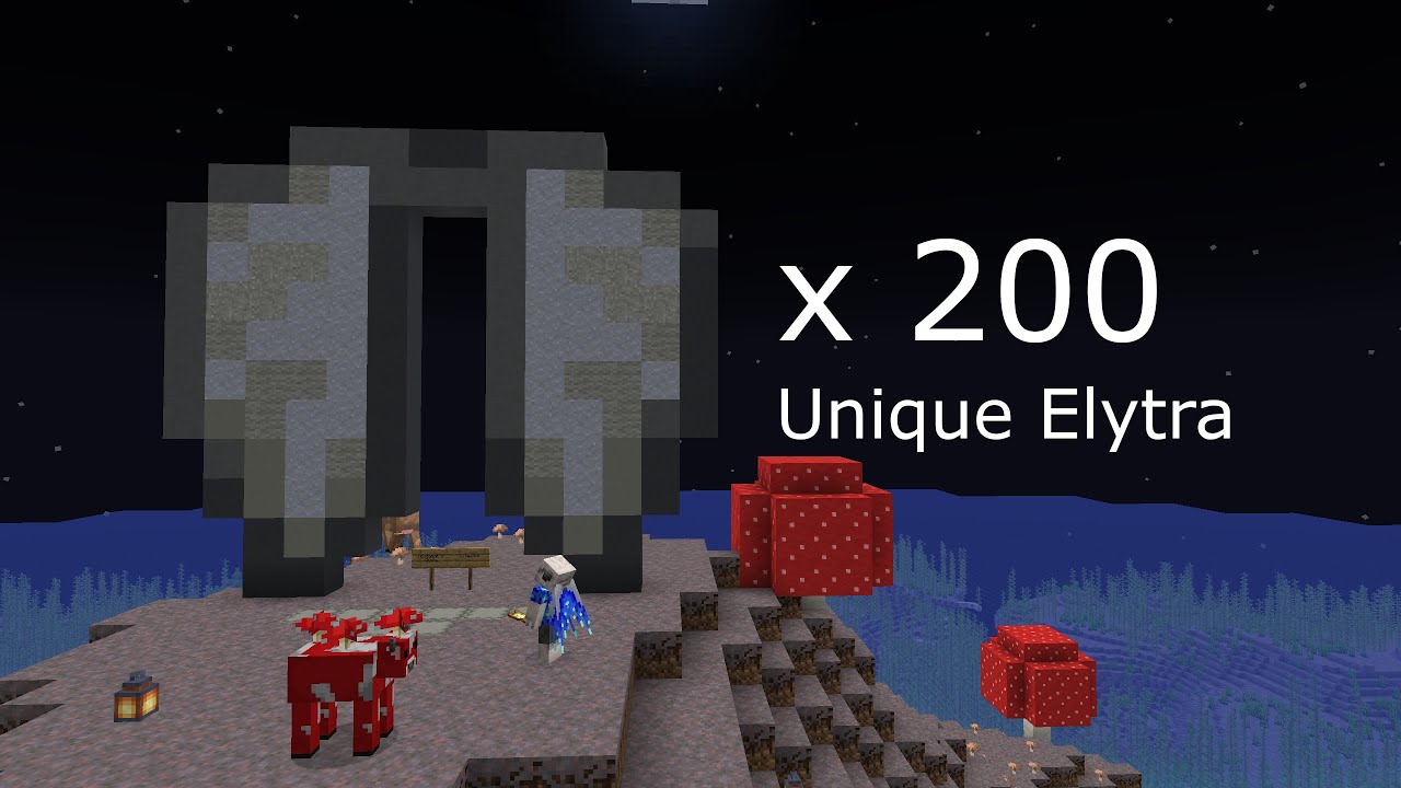 2b2t - Elytra Collection Pt.2 12/21/24 - YouTube