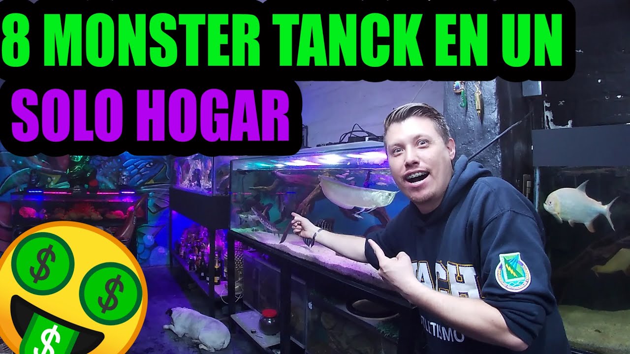 8 ENORMES Acuarios en UNA sola CASA Mario Blogs - YouTube