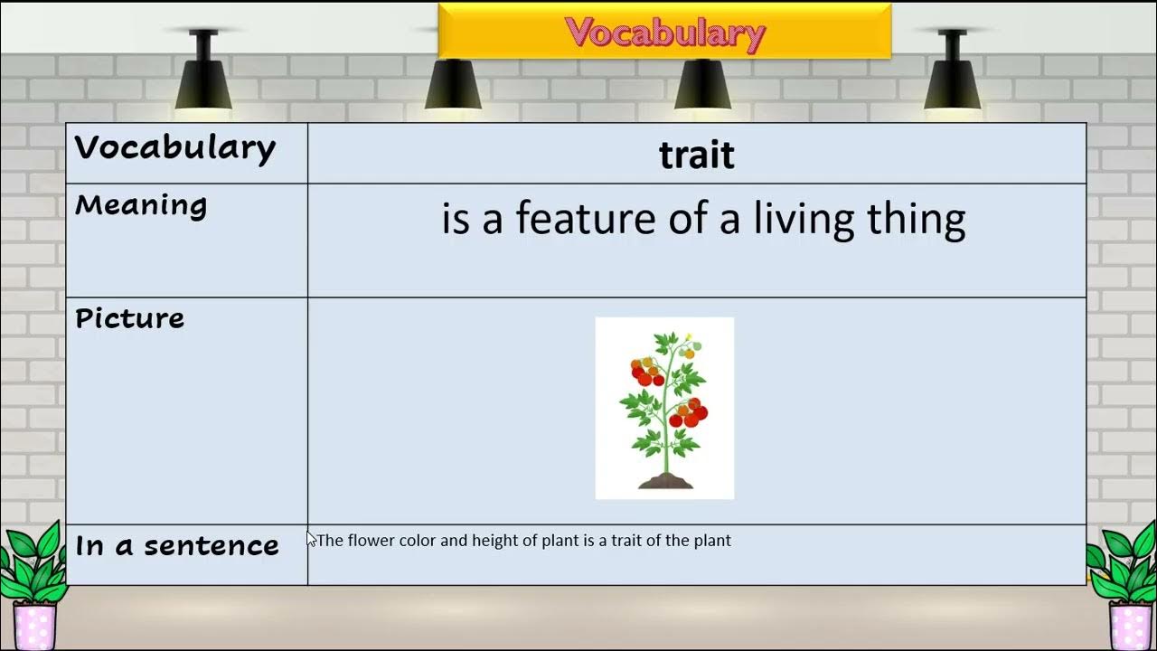 Grade 3 Lesson 2 Plant Traits - YouTube