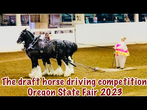 The Draft Horse Driving Competition at Oregon State Fair 2023 # ...