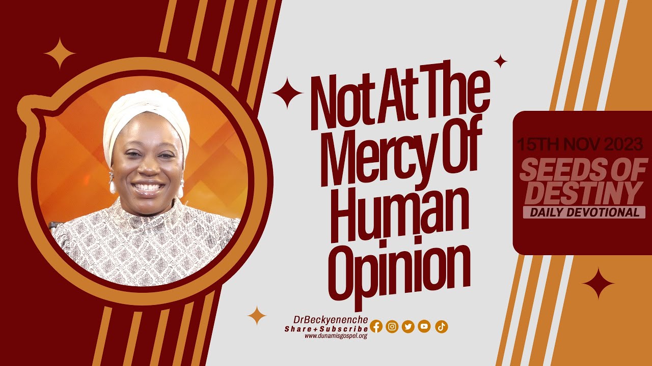 SEEDS OF DESTINY - WEDNESDAY 15, NOVEMBER, 2023 - YouTube