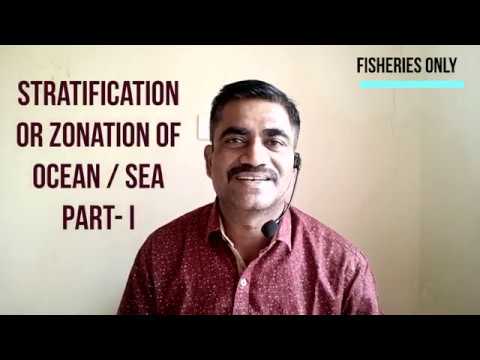 Stratification or Zonation of Sea / Ocean Part- I - YouTube