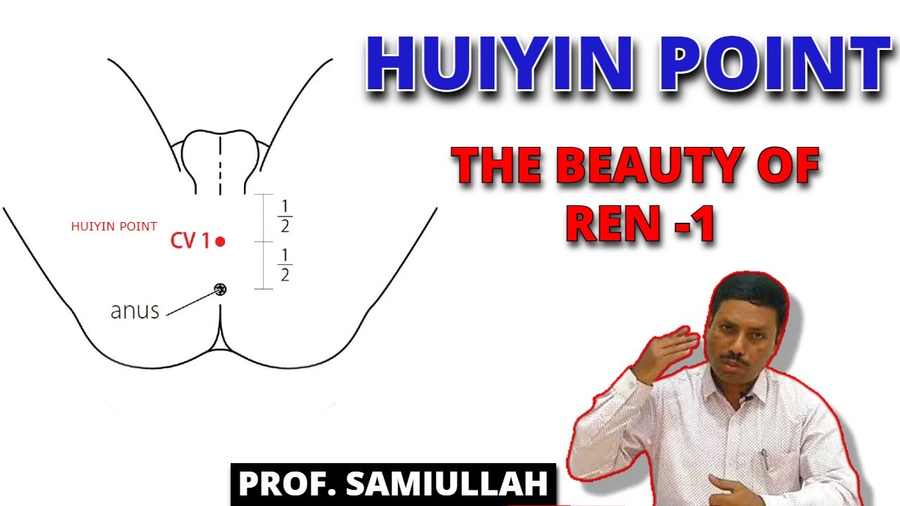 Huiyin Point - The beauty of Ren 1 | Ren Meridian - Acupuncture Point | Prof . Samiullah - YouTube