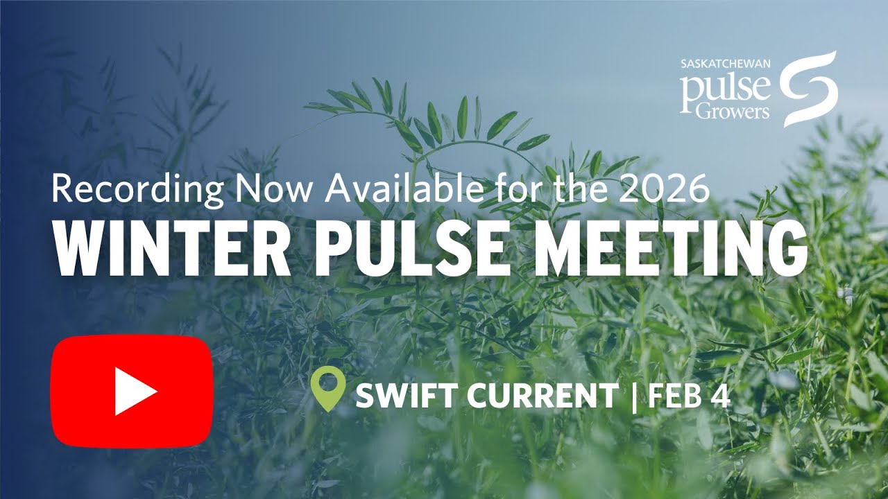 2026 Swift Current Winter Pulse Meeting - YouTube