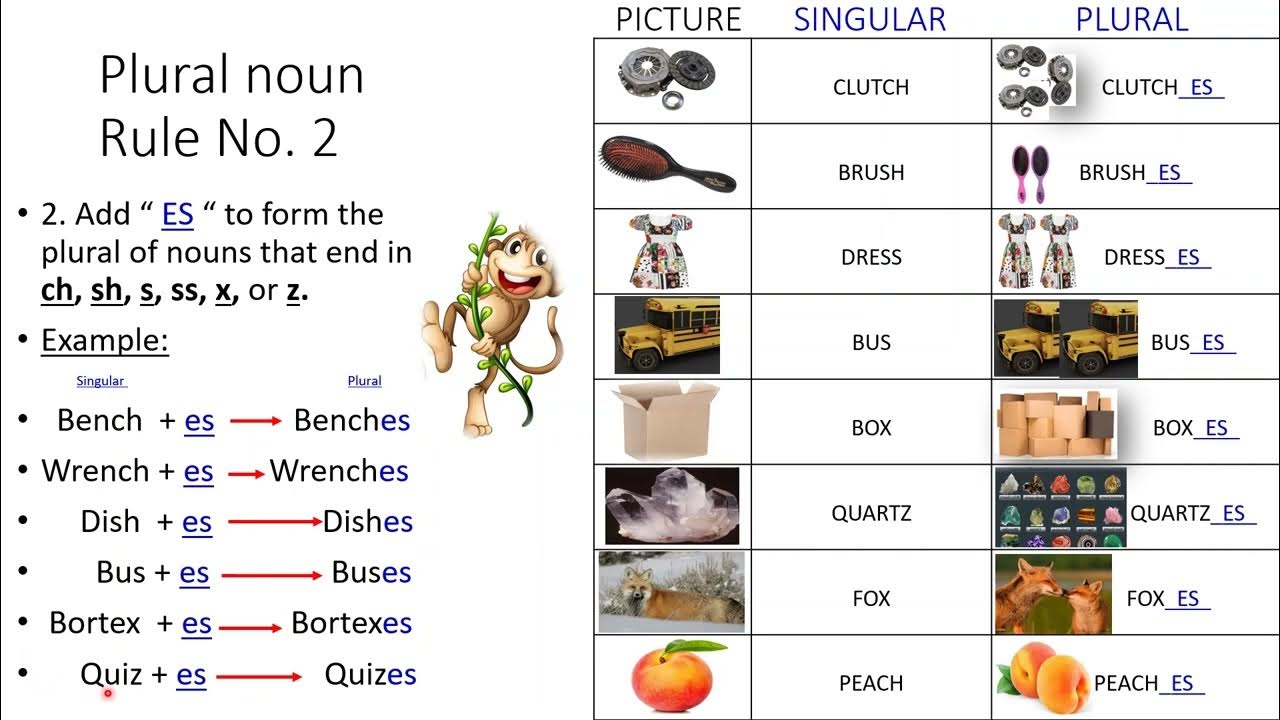 Plural Rule No 2 English Classes Plural Rules 2 of 8 - YouTube