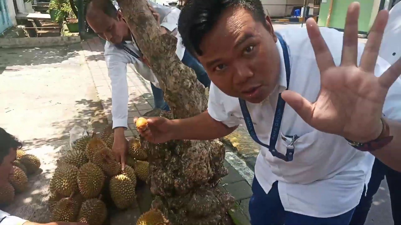 Belah Duren dari Bengkulu Rp.50.000 per buah di Pulo Asem, Rawamangun ...
